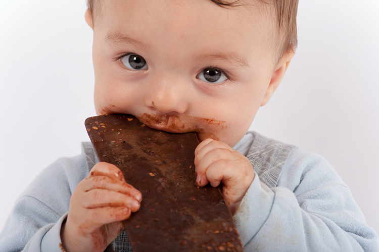 How to taste chocolate – OCHO
