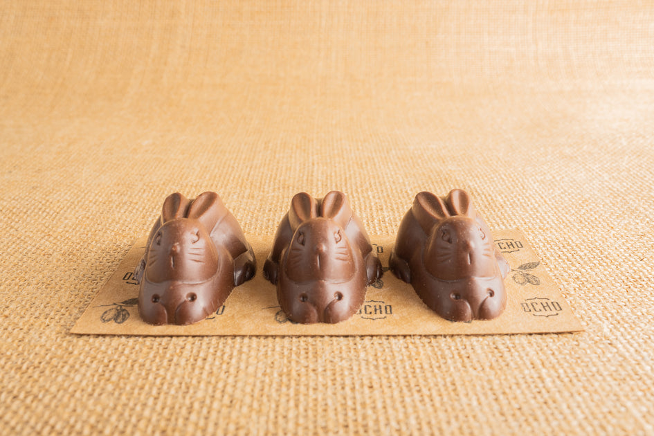 Moulded Chocolates – OCHO