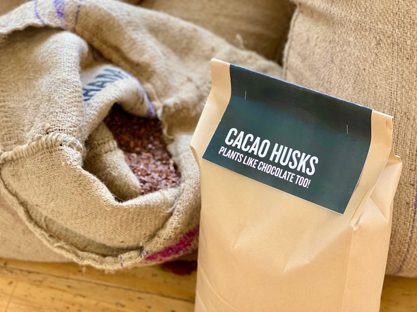 Cacao Husks 250g – OCHO